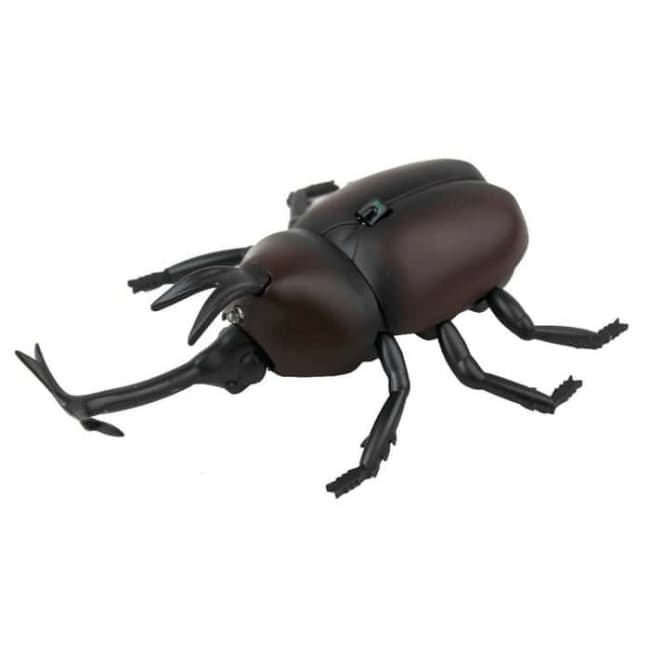 Infrared Remote Control Giant Beetle Prank | Tech Import World