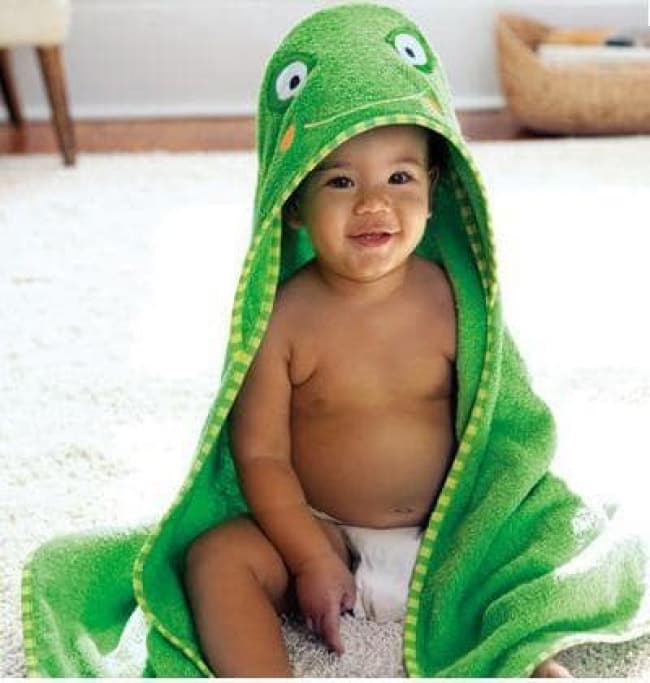 Skip Hop Zoo Hooded Towel Frog | Tech Import World